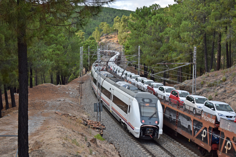 Gestión del transporte terrestre de viajeros